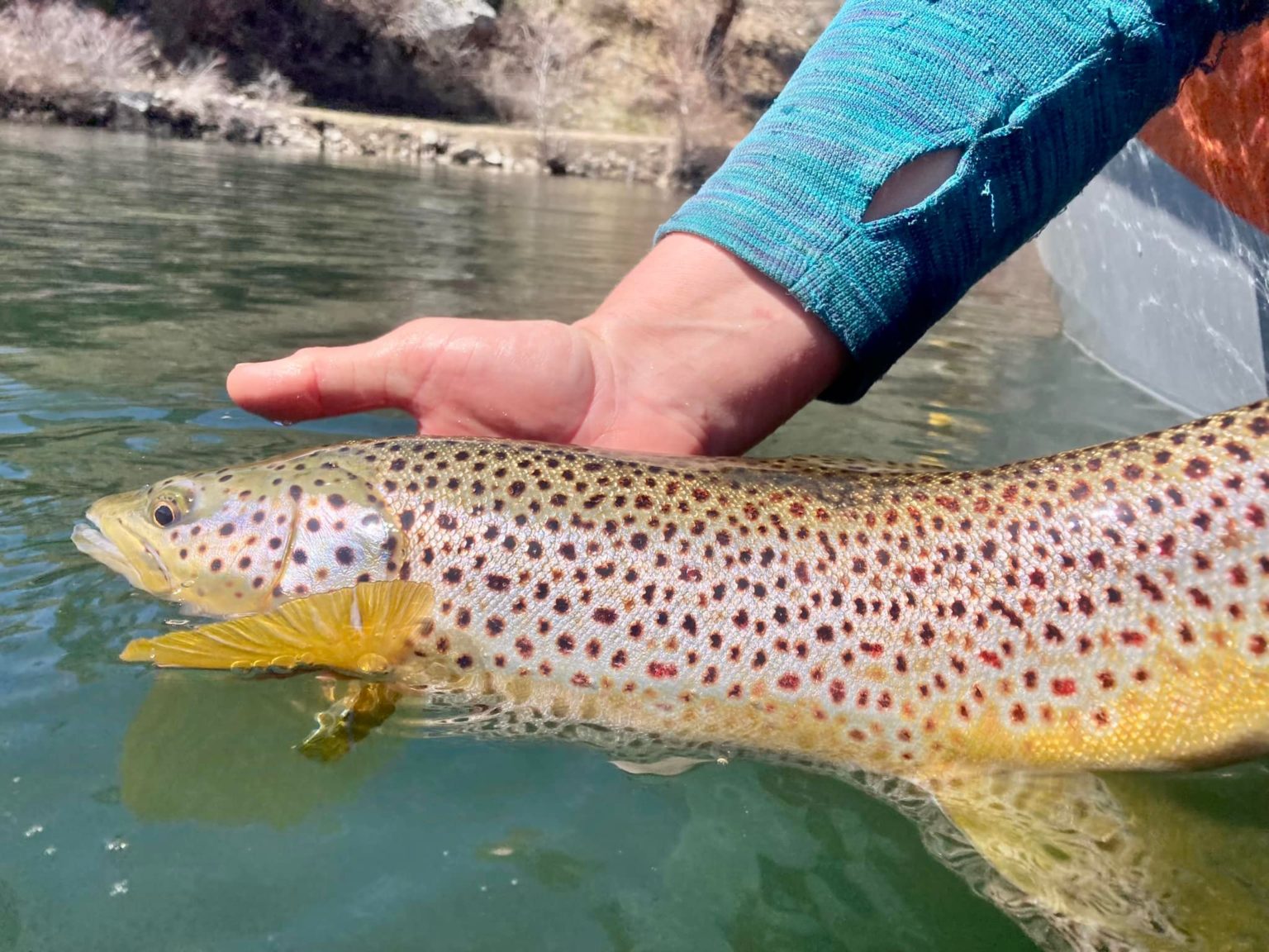Fish Map | Methow Fishing Adventures